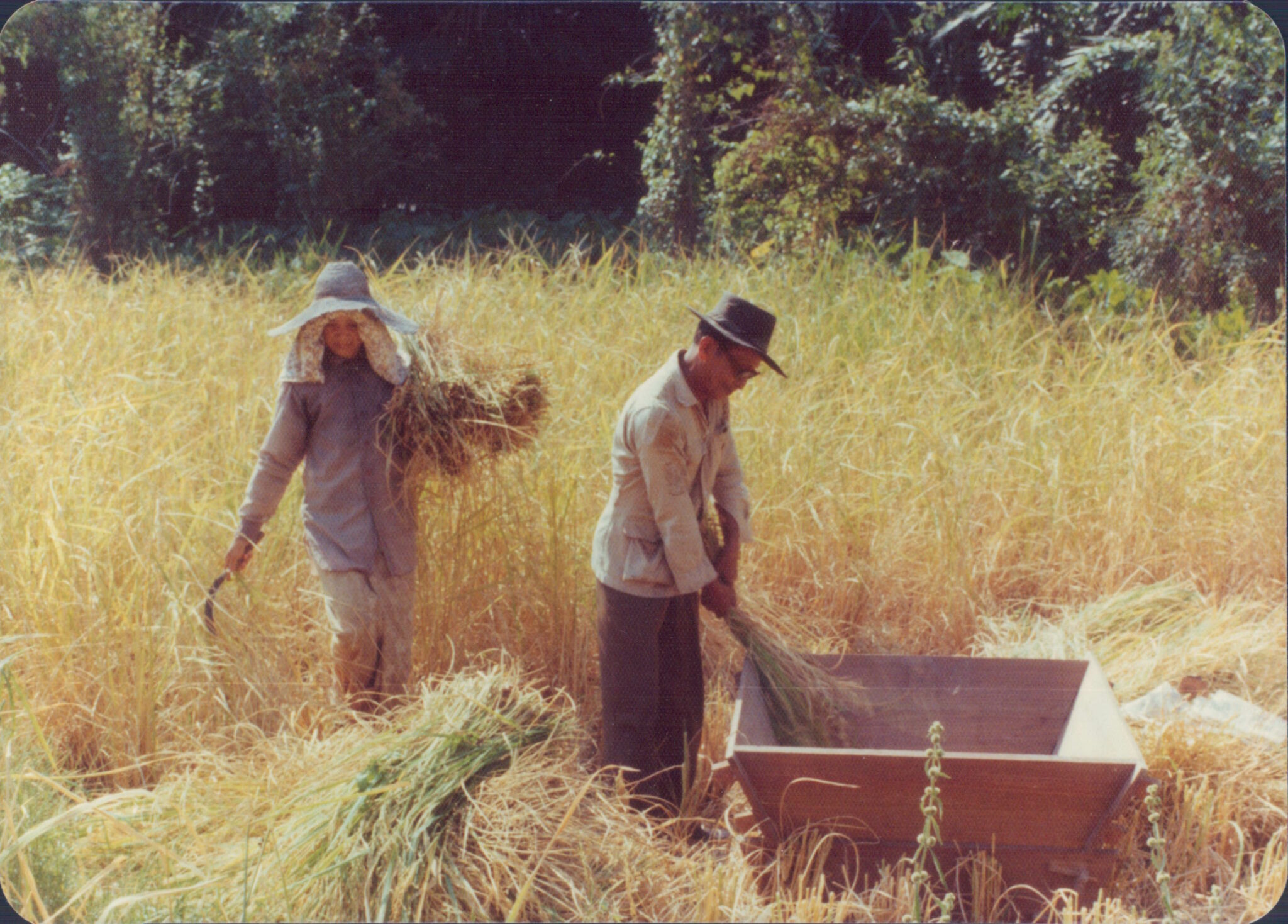 Malaysian ‘matriliny’: past, present and future | Melbourne Asia Review